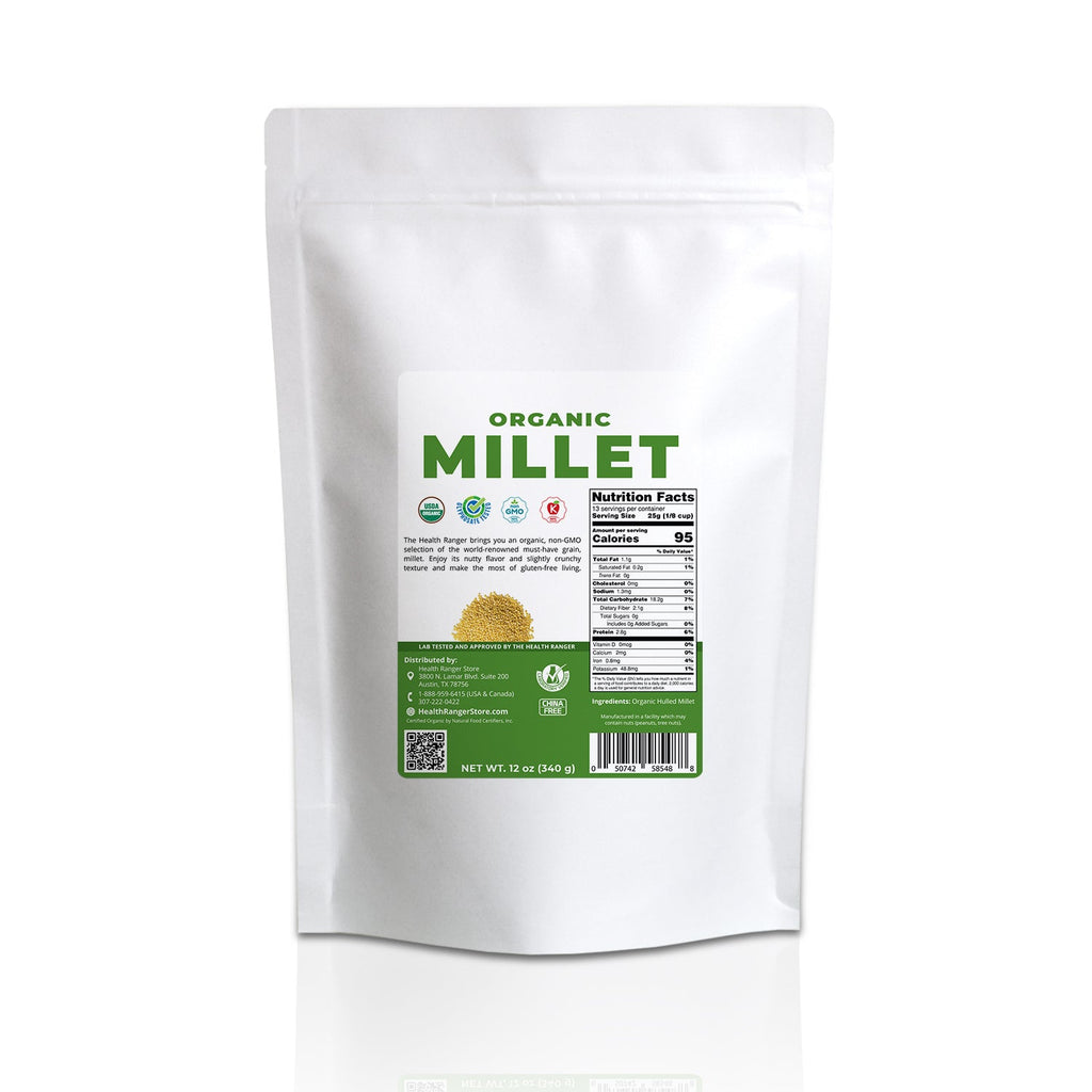 Vanilla Millet Pudding Kit — Brighteon Store