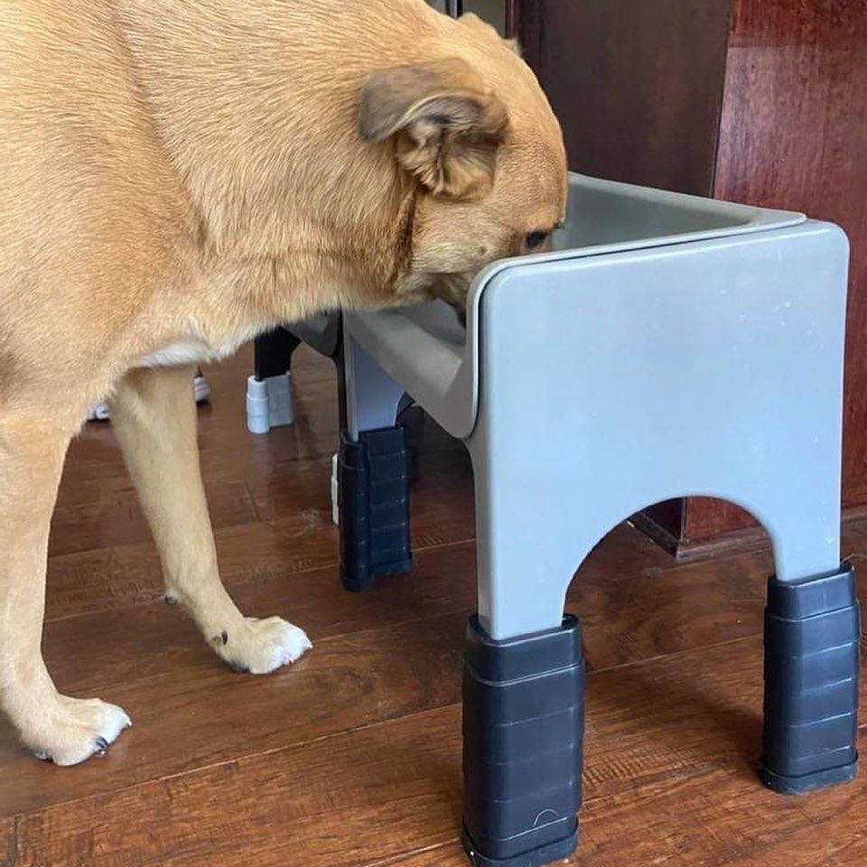 Stackable Fluff Trough Lift Kit — Brighteon Store