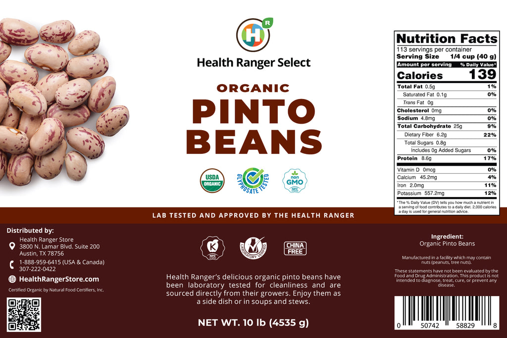 Mega Bucket Organic Pinto Beans (10LB, 4535g) — Brighteon Store